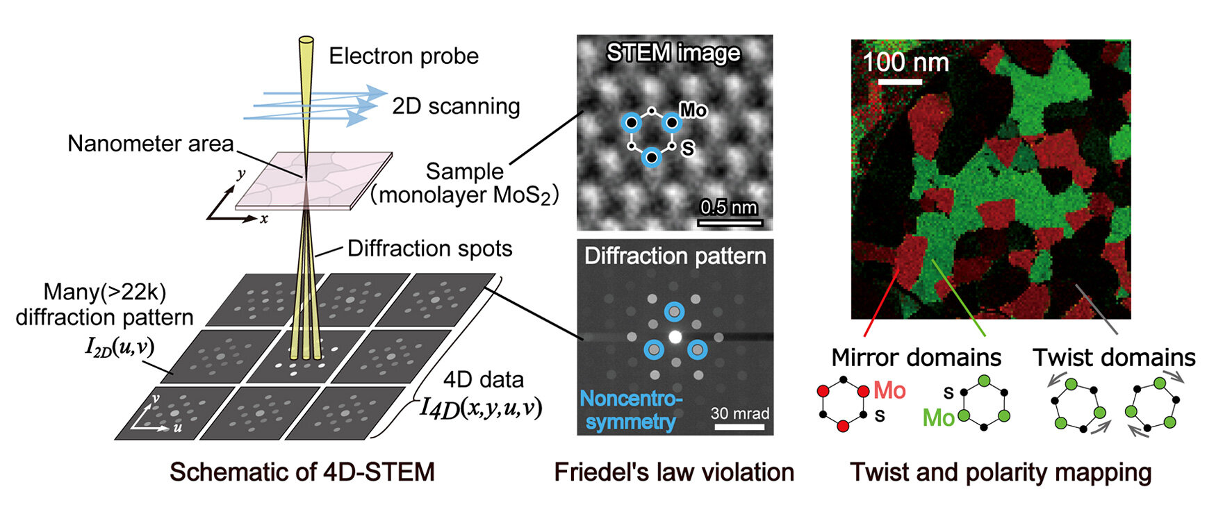 High-precision analysis of 2D materials microstructures achieved using electron microscopy and ...